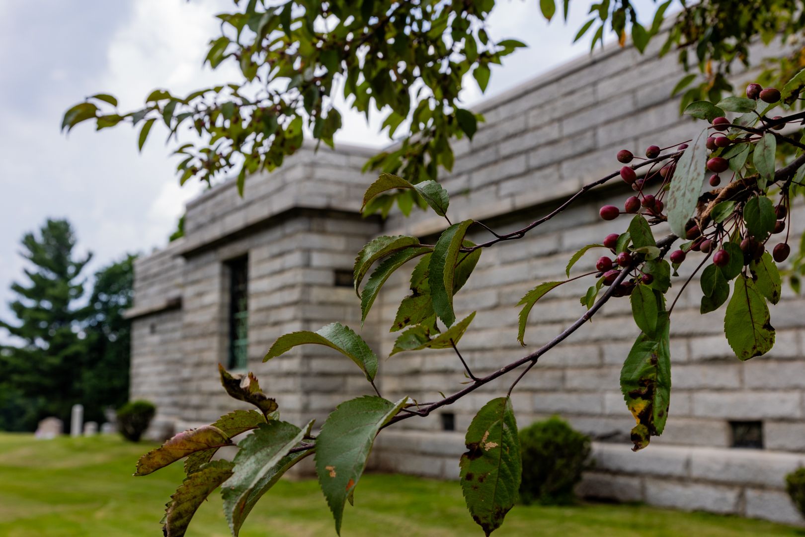 Wooster Cemetery | Services & Prices