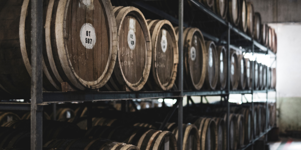 What is Excise Duty?