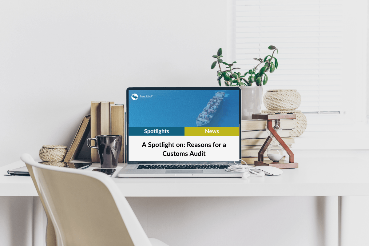 A Spotlight On: Reasons for a Customs Audit