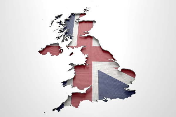 Who Should Submit an Entry Summary Declaration