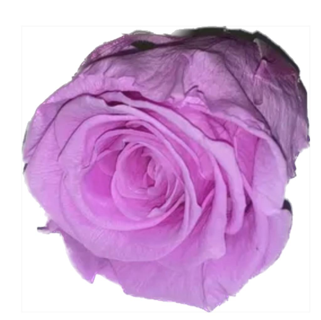Art en Rose Milano | Fiori stabilizzati, consegna 24/24h