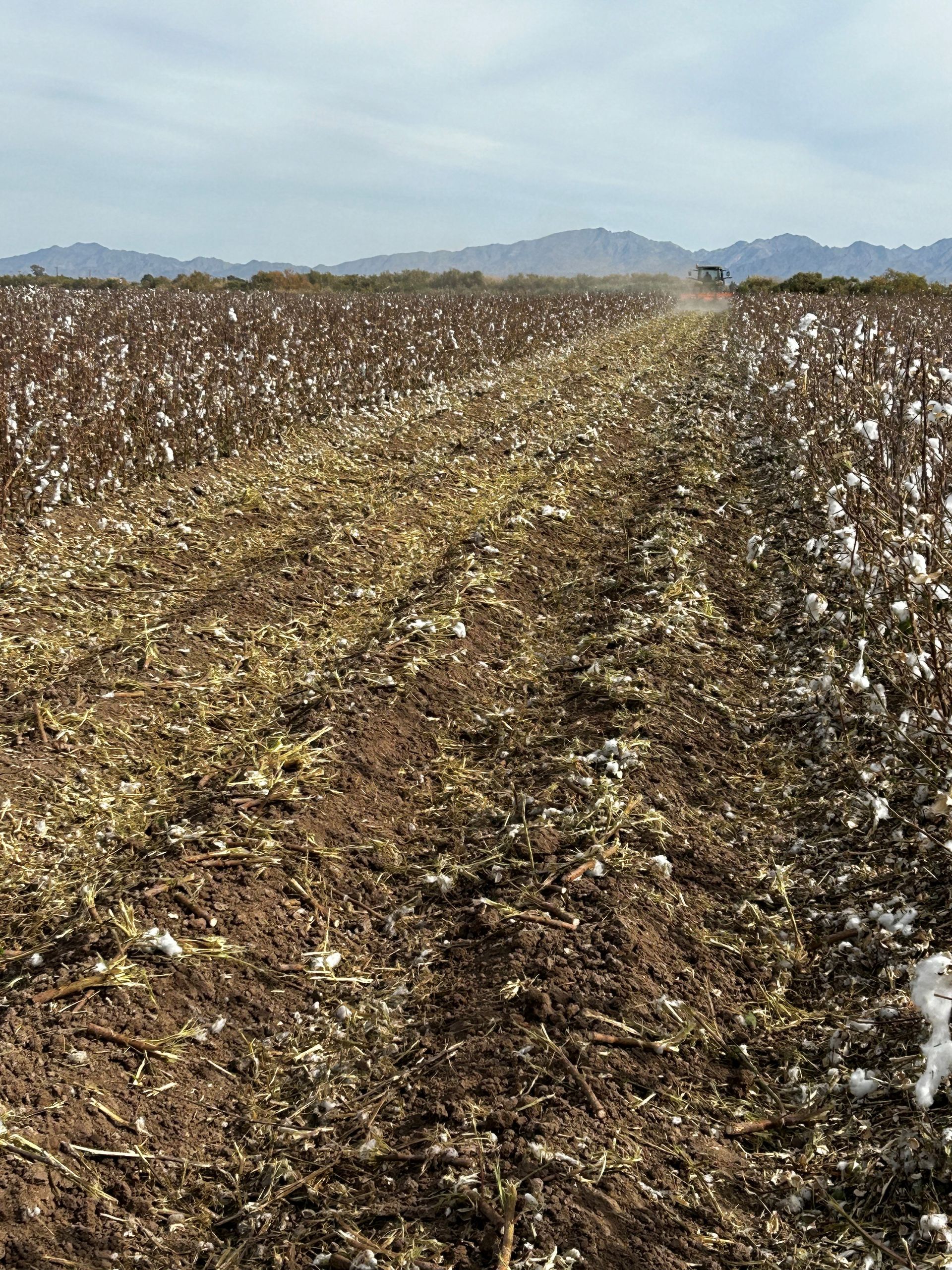 Trojan Stalk Shredder Farming Machinery