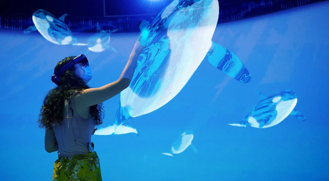 Augmented Reality in education: Swim with whales without getting wet