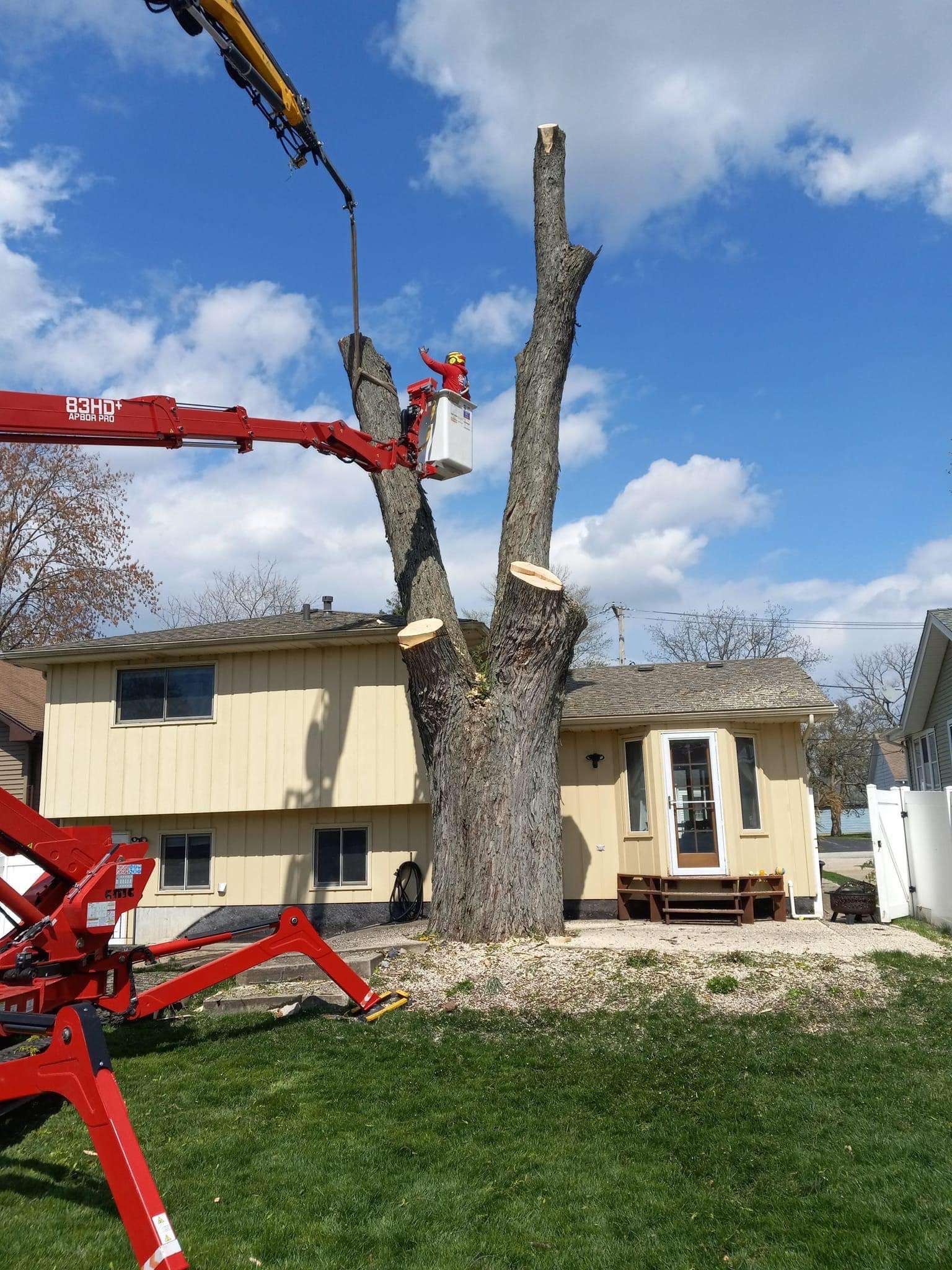 Photos of Smitty's Tree Service Projects | Chicago & Alsip, IL