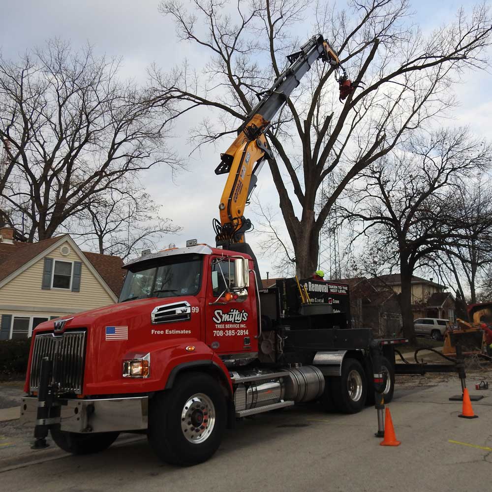 Photos of Smitty's Tree Service Projects | Chicago & Alsip, IL