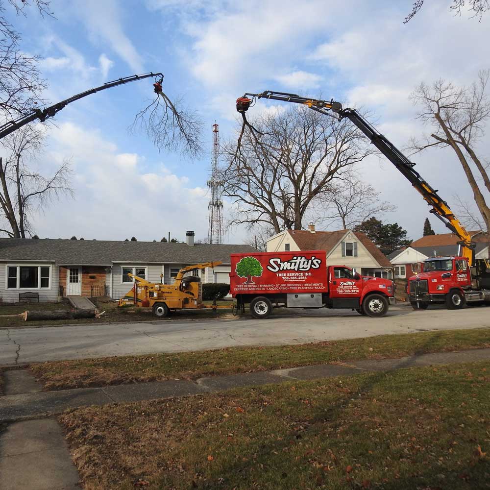 Photos of Smitty's Tree Service Projects | Chicago & Alsip, IL