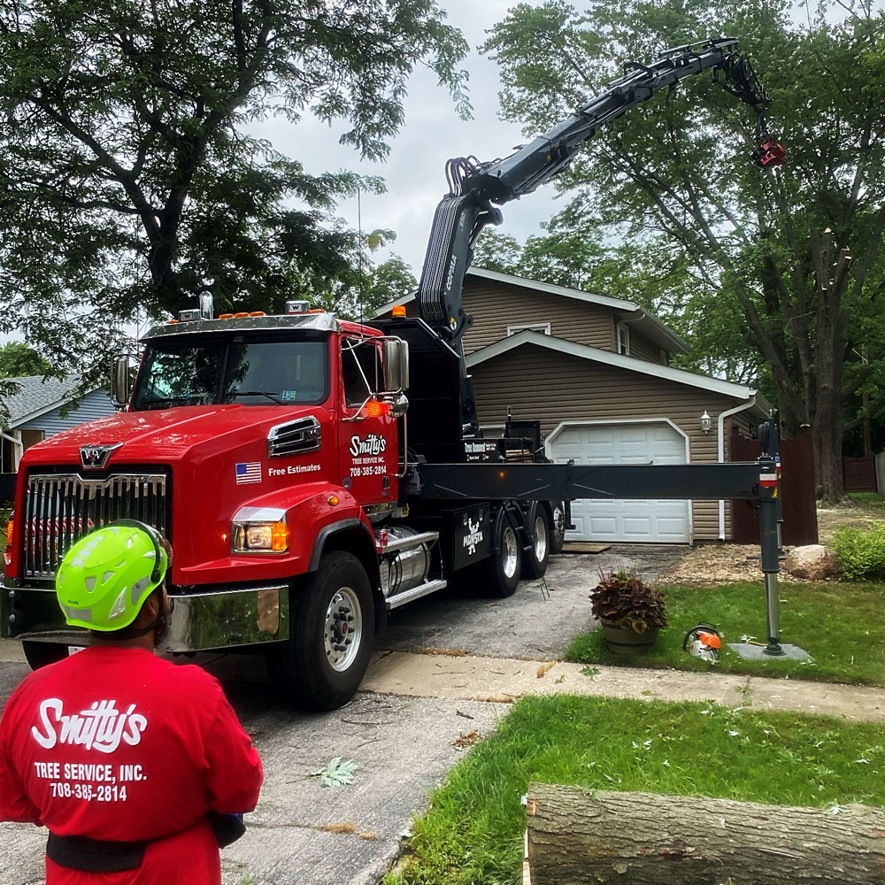 Tree Removal in Chicago & Suburbs | Smitty's Tree Service