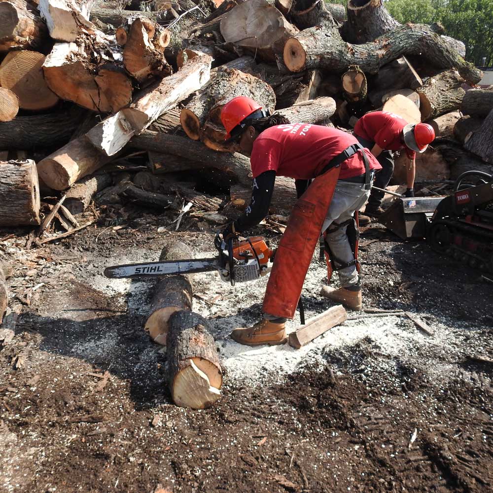 Chicagoland Tree Service | Mulch & Firewood Delivery