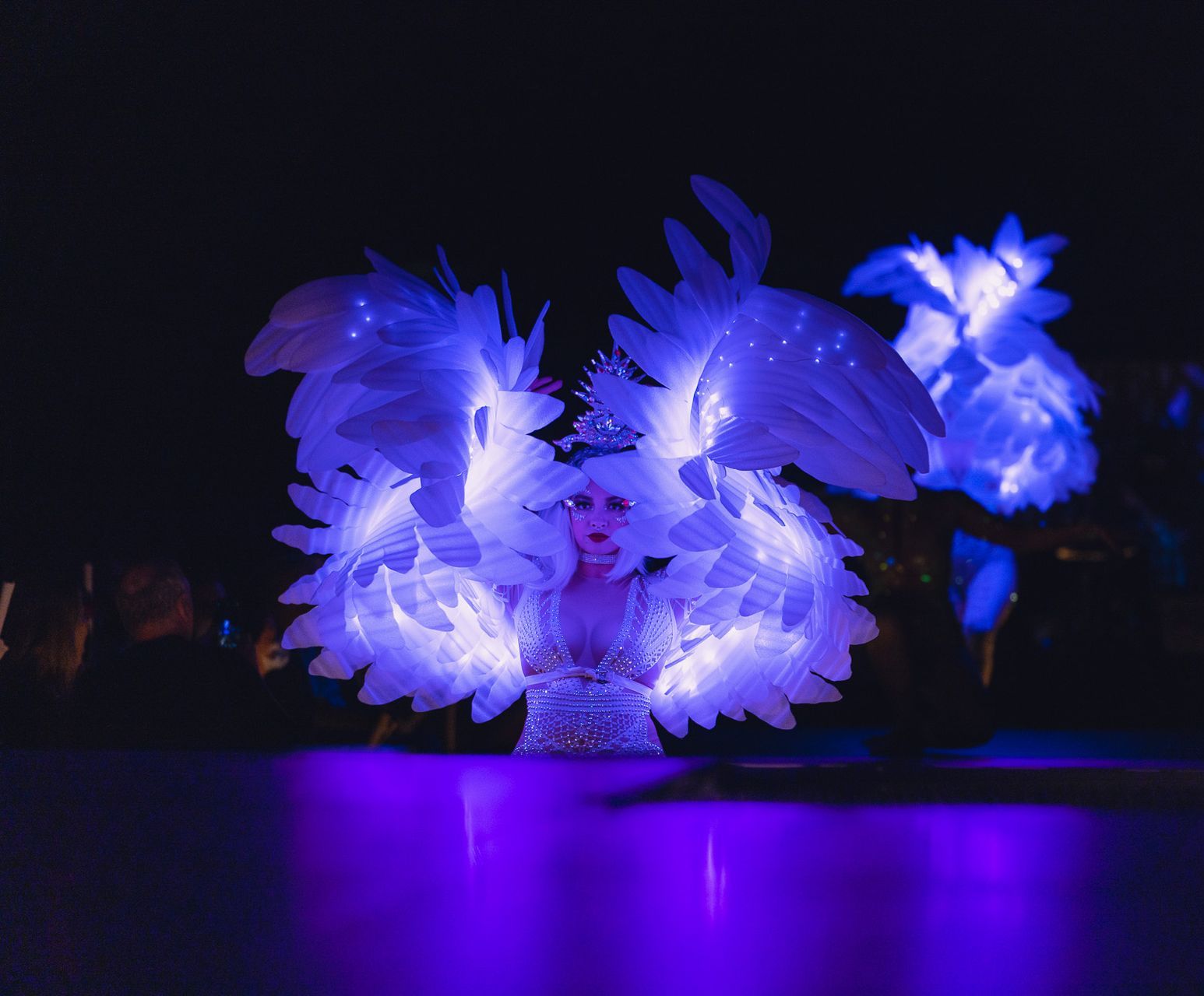 Specialty Performances | Aerial Dragons | Tampa, FL