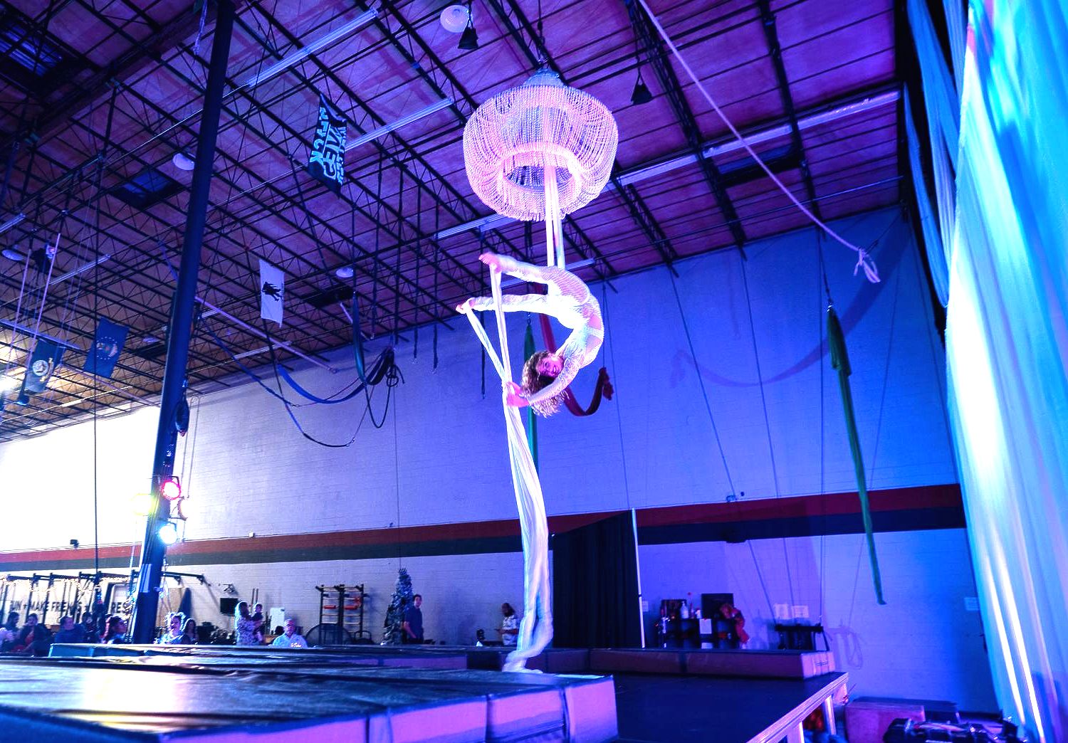 Aerial Performances | Aerial Dragons | Tampa, FL