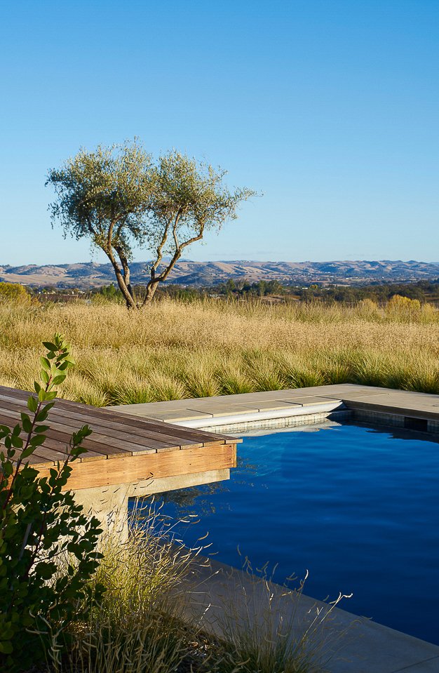 Modern Vineyard | Jeffrey Gordon Smith Landscape Architecture