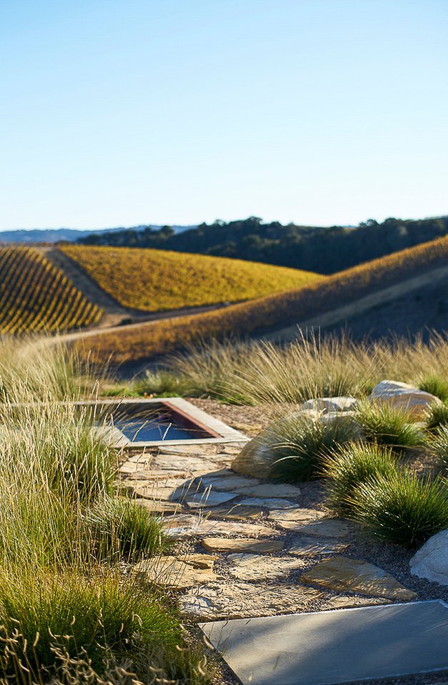 Modern Vineyard | Jeffrey Gordon Smith Landscape Architecture