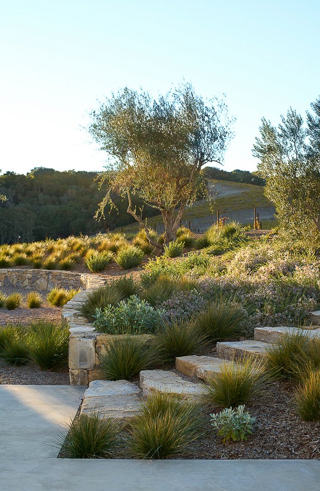 Modern Vineyard | Jeffrey Gordon Smith Landscape Architecture