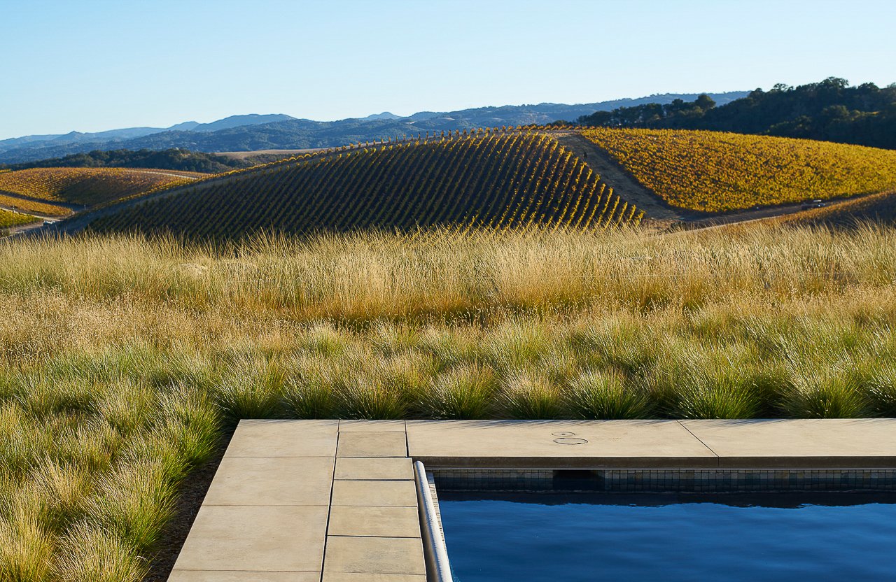 Modern Vineyard | Jeffrey Gordon Smith Landscape Architecture