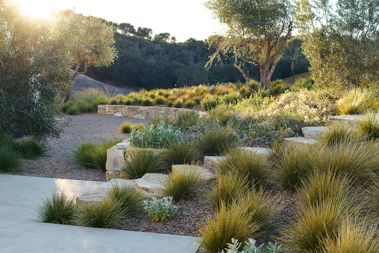 Modern Vineyard | Jeffrey Gordon Smith Landscape Architecture