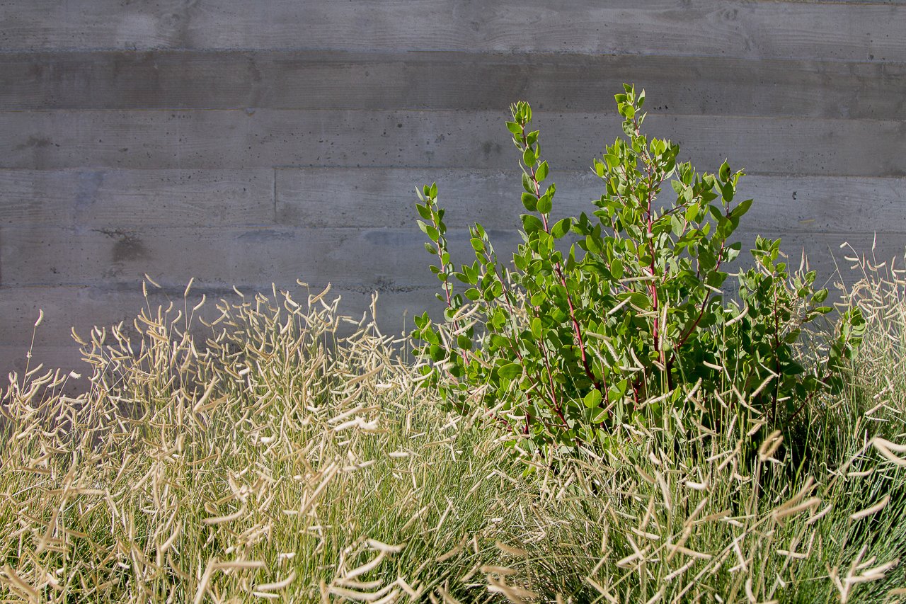 Modern Vineyard | Jeffrey Gordon Smith Landscape Architecture