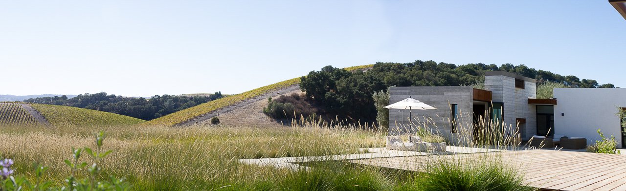 Modern Vineyard | Jeffrey Gordon Smith Landscape Architecture