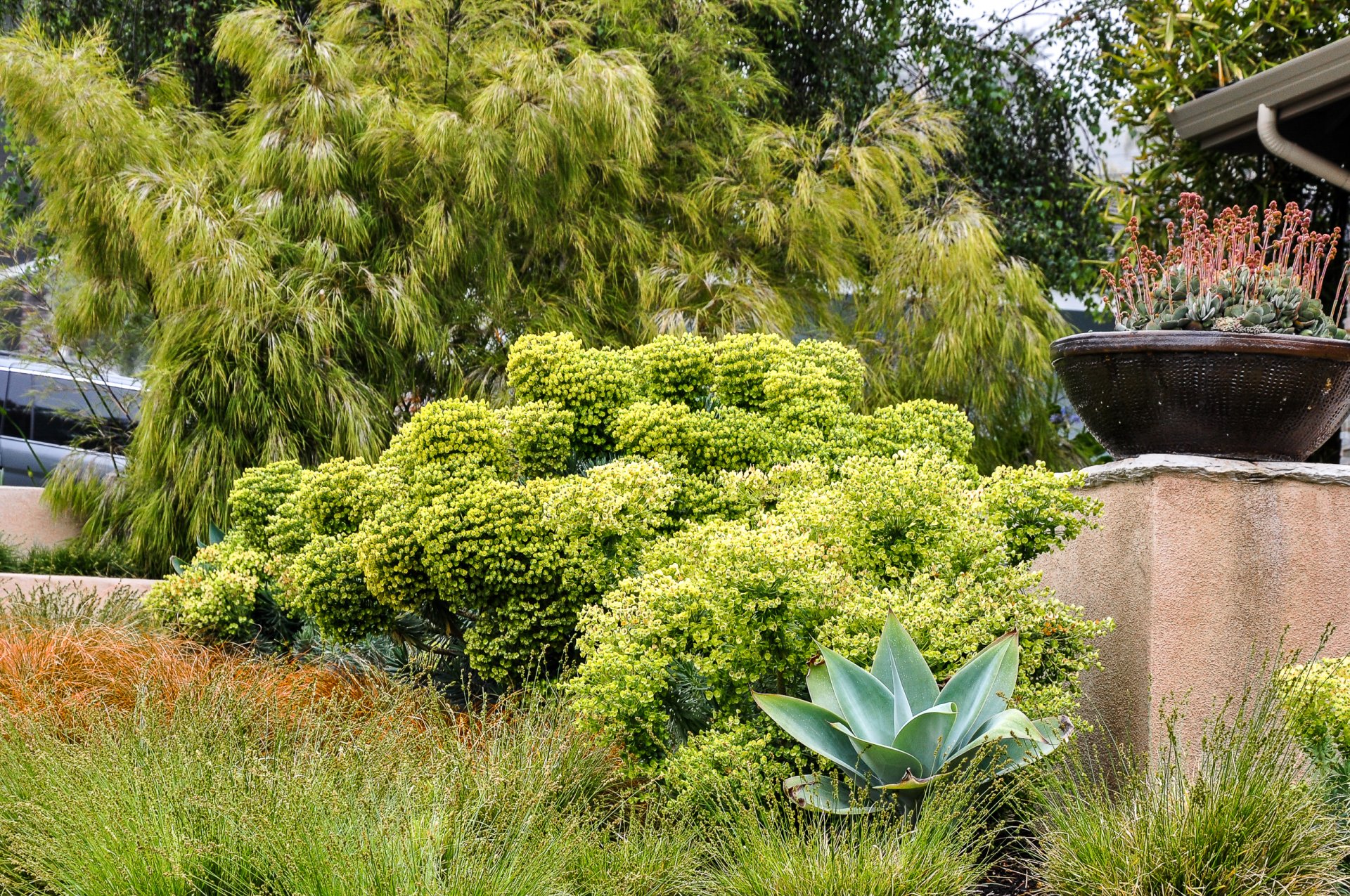 Falling Cliff | Jeffrey Gordon Smith Landscape Architecture