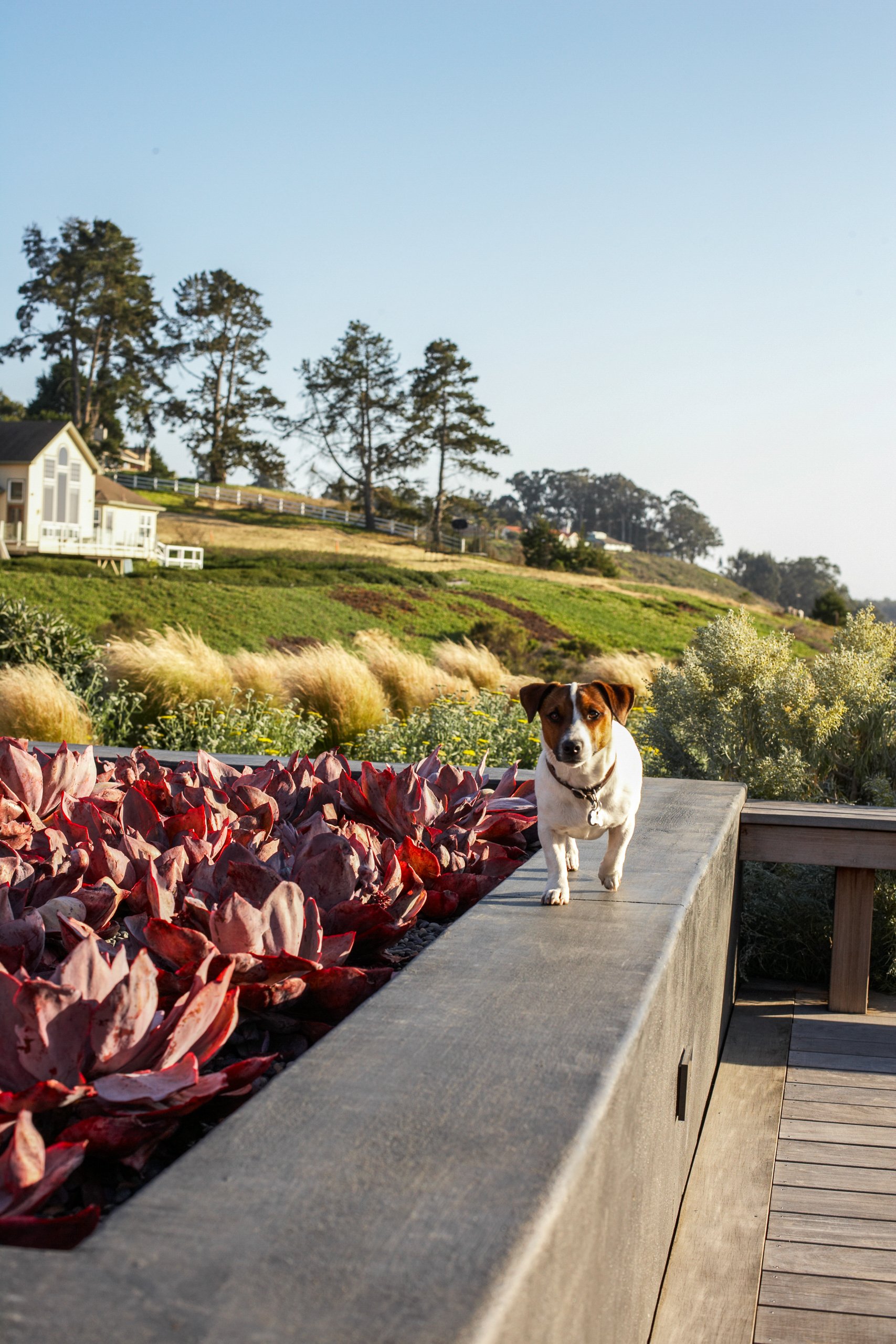 Pacific Rim | Jeffrey Gordon Smith Landscape Architecture