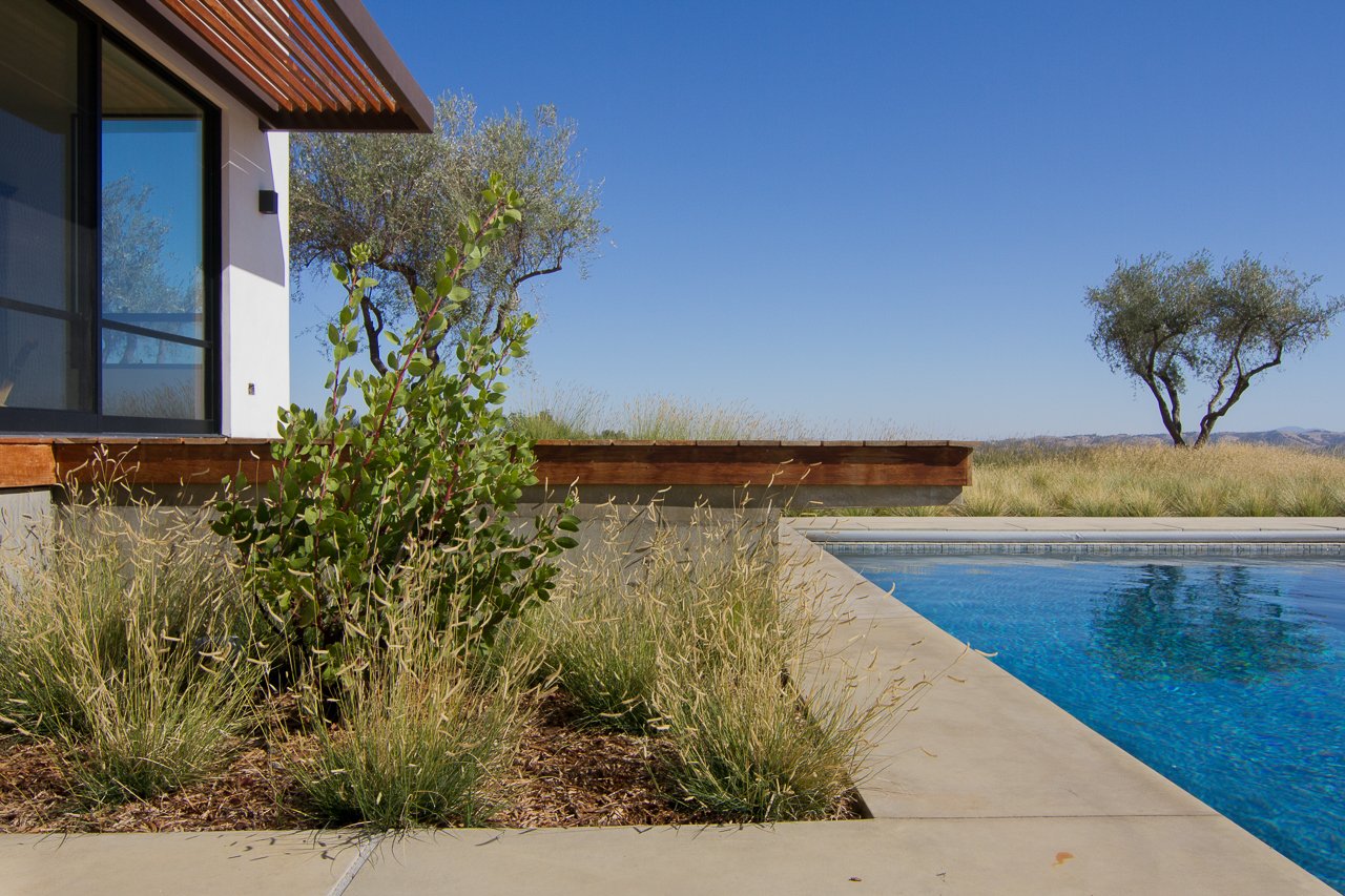 Modern Vineyard | Jeffrey Gordon Smith Landscape Architecture