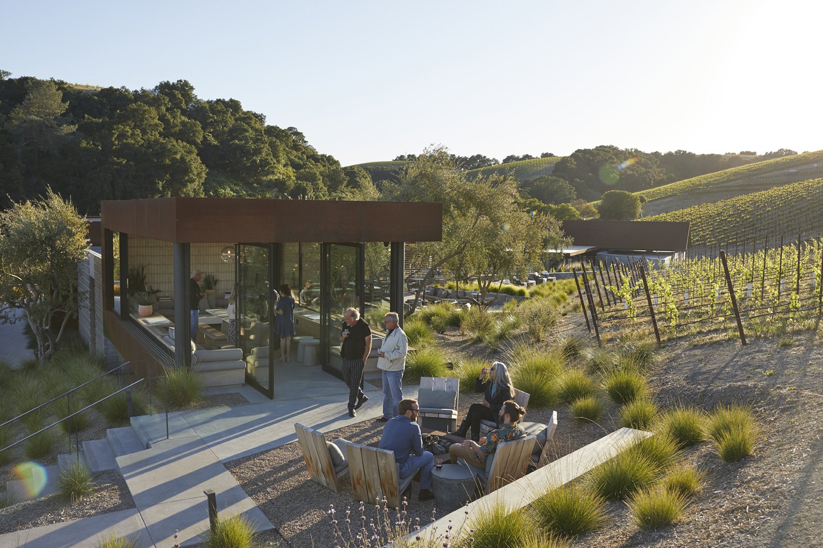 Booker Vineyard | Jeffrey Gordon Smith Landscape Architecture