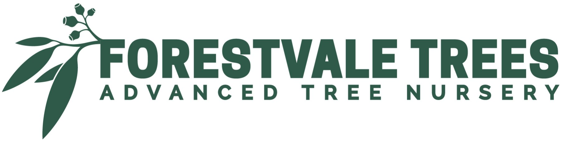 Advanced & Mature Trees | Forestvale Trees | Perth