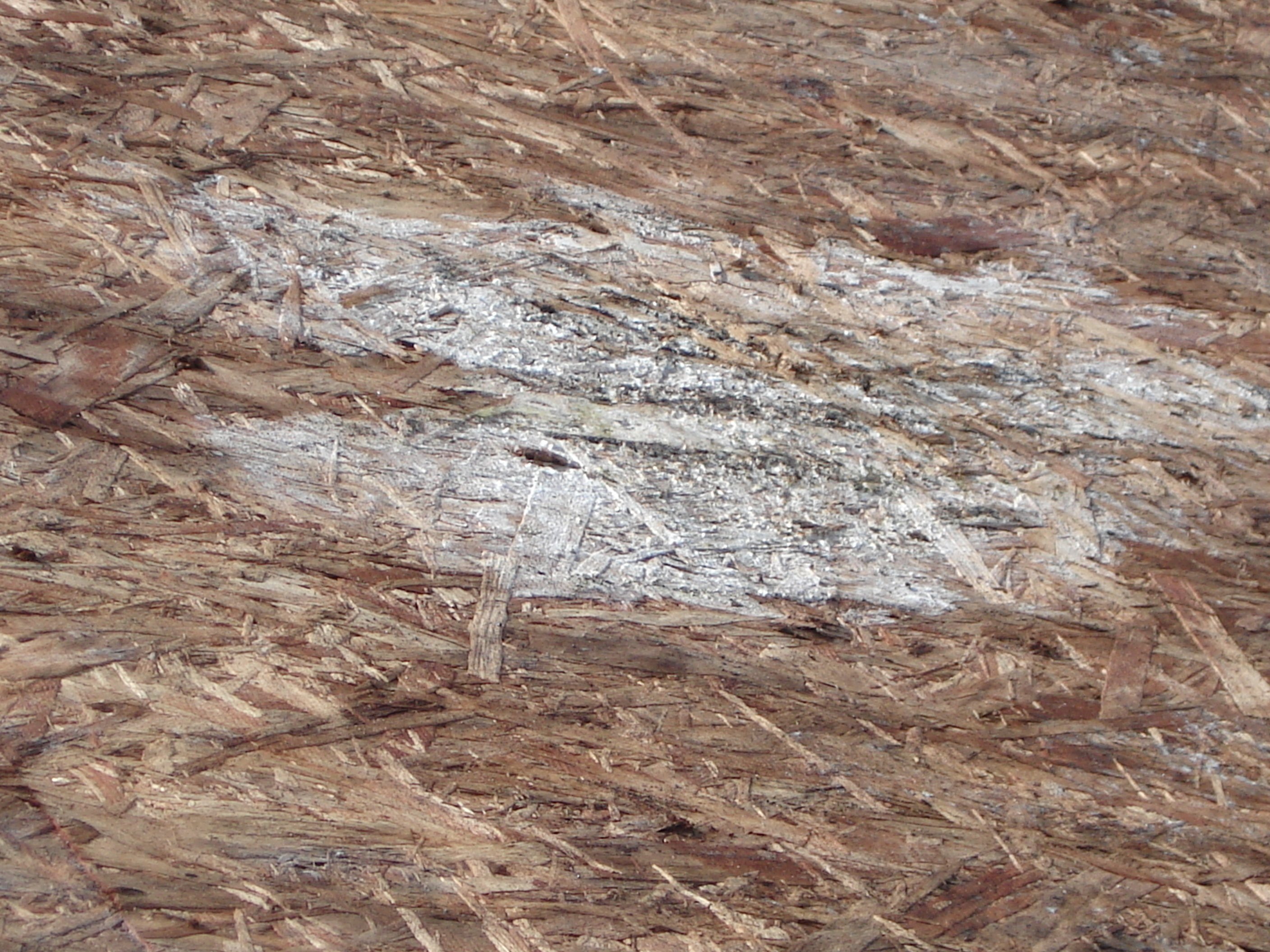 Blue House | Alpine Roofs | Roofing Services