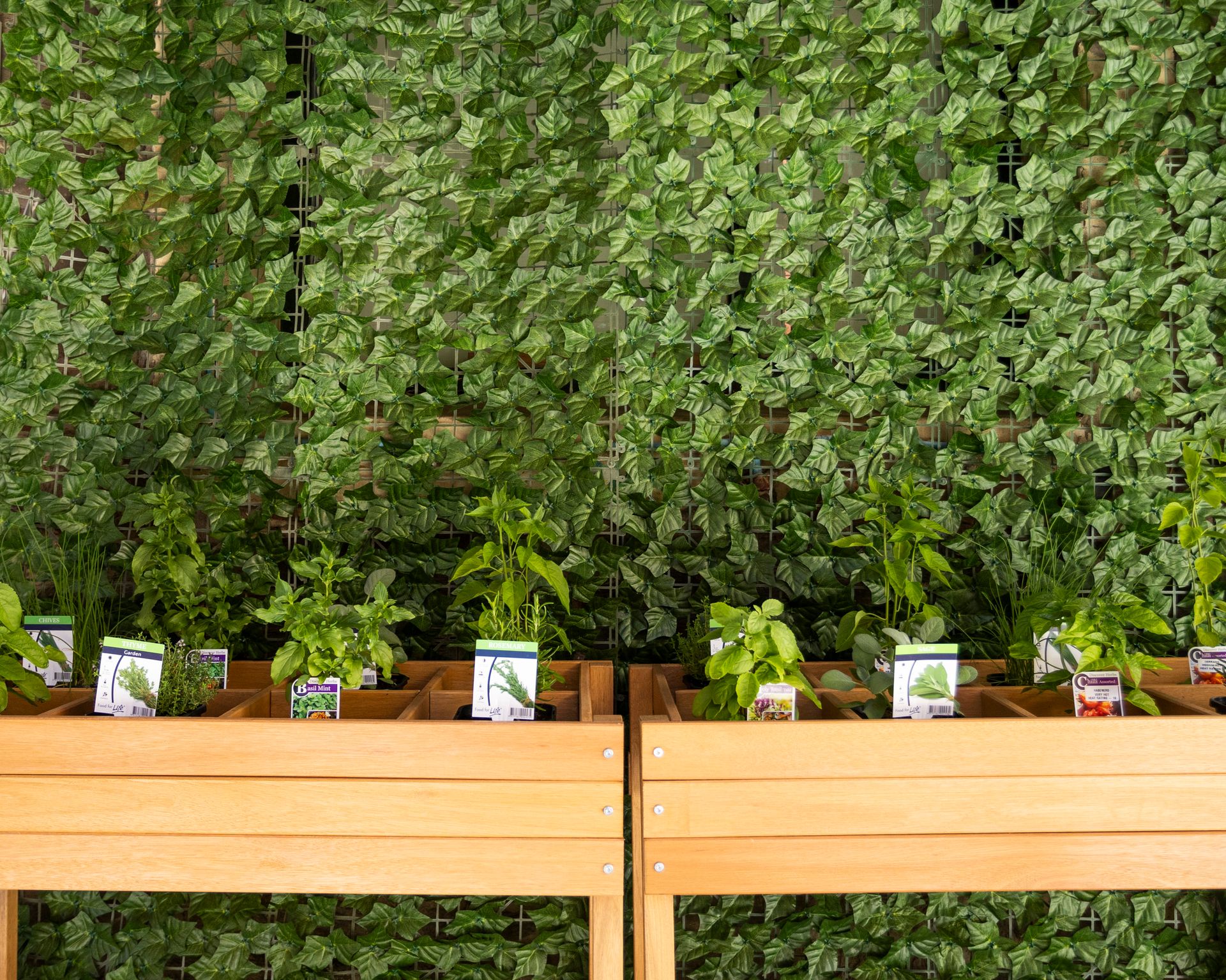 Base Camp Hostel - Your Urban Oasis in the Heart of Adelaide