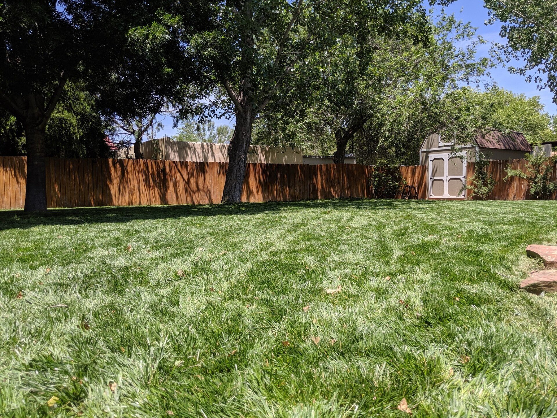 Our Gallery - Albuquerque, NM - Arbor RV Park