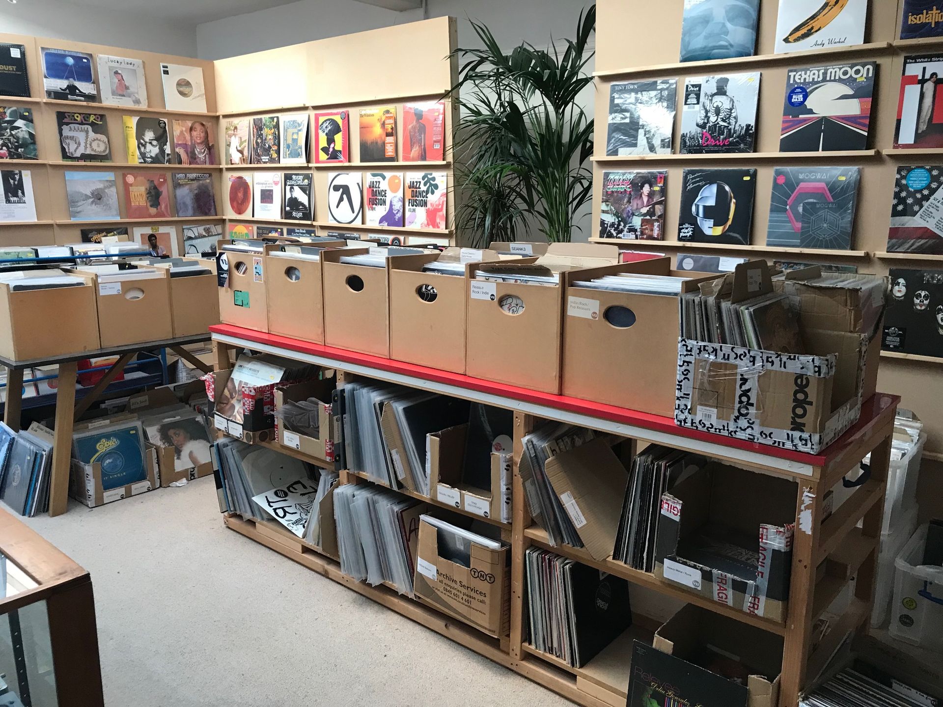 Vinilo Record Store
