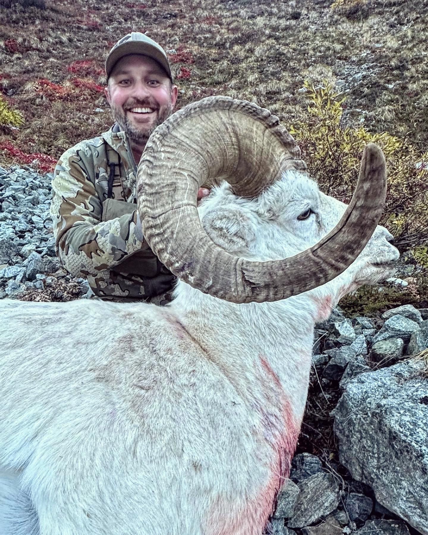 Sheep Hunt 2023 Photos | Sheep Hunts Alaska