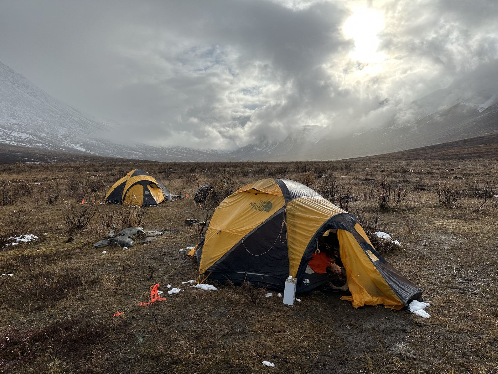 Sheep Hunt 2023 Photos | Sheep Hunts Alaska