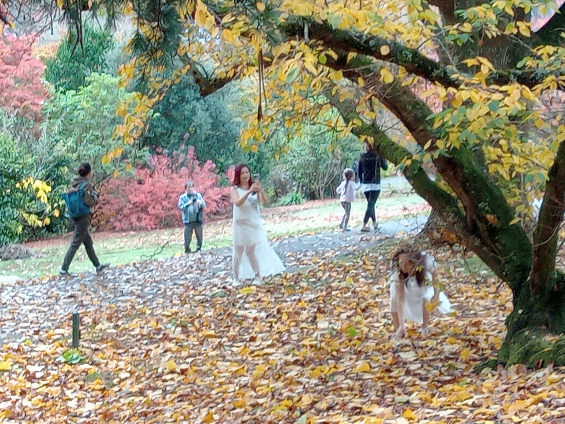 OLINDA Dandenong Ranges