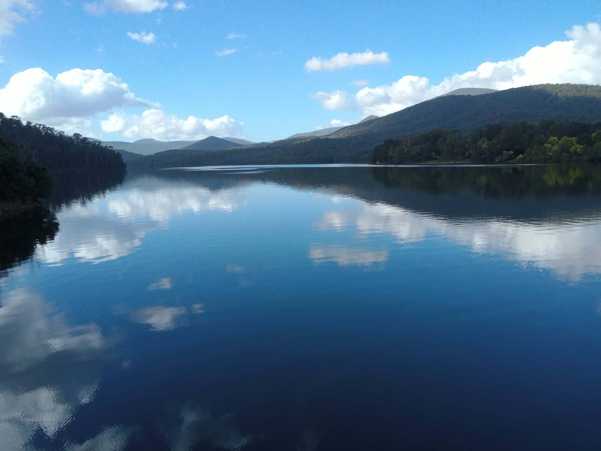 HEALESVILLE