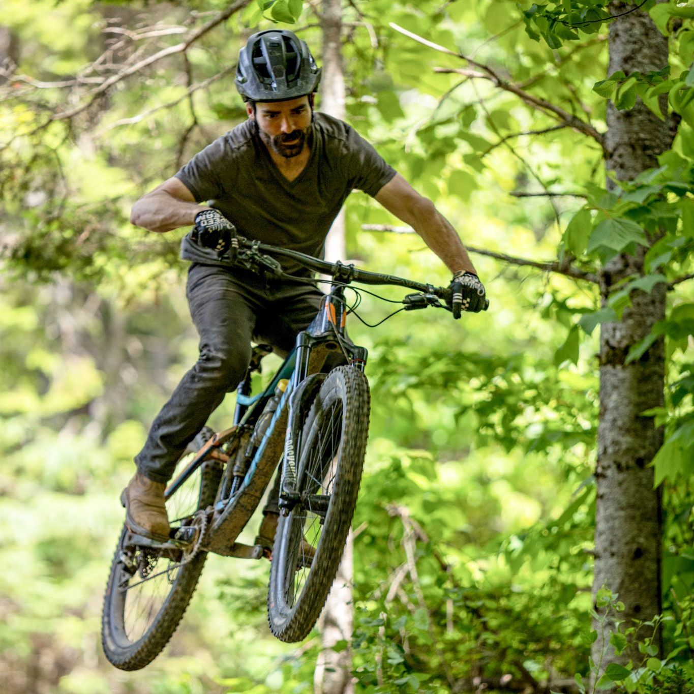 Poley Mountain Trail Report