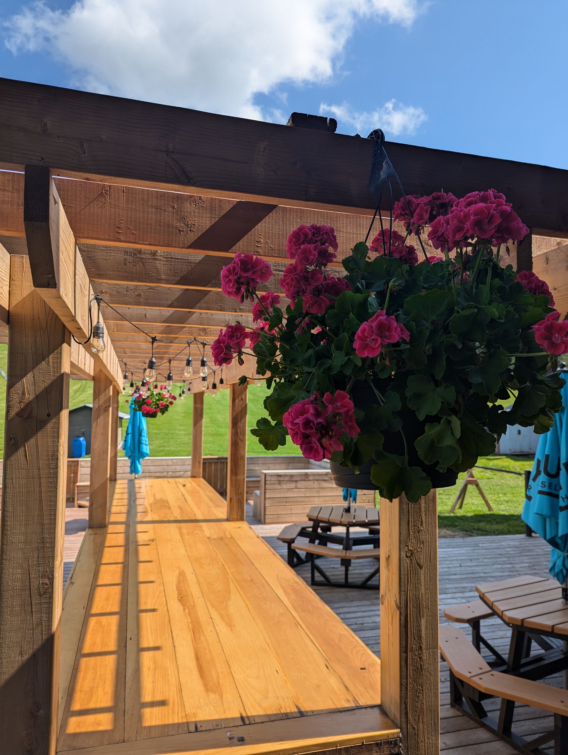 Poley Mountain Bike Park