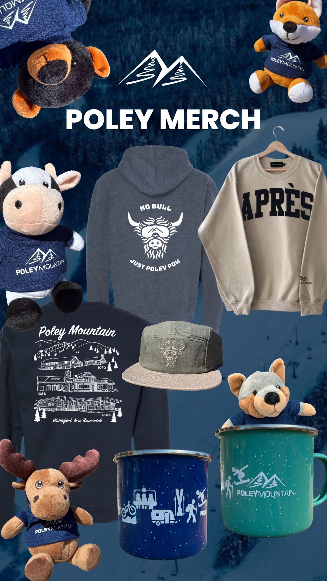 The Poley Retail Shop