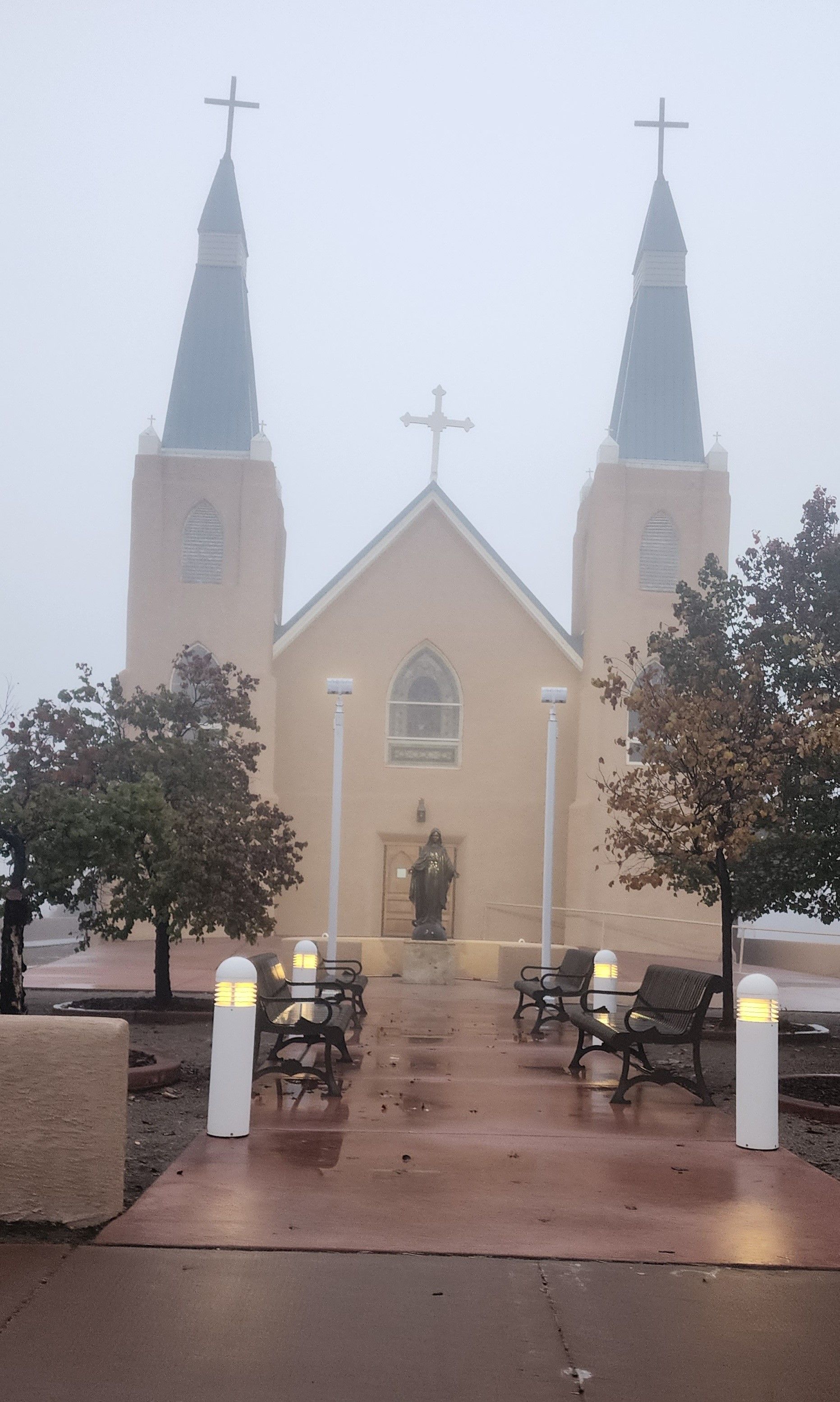 Home [www.n-bvm.org]