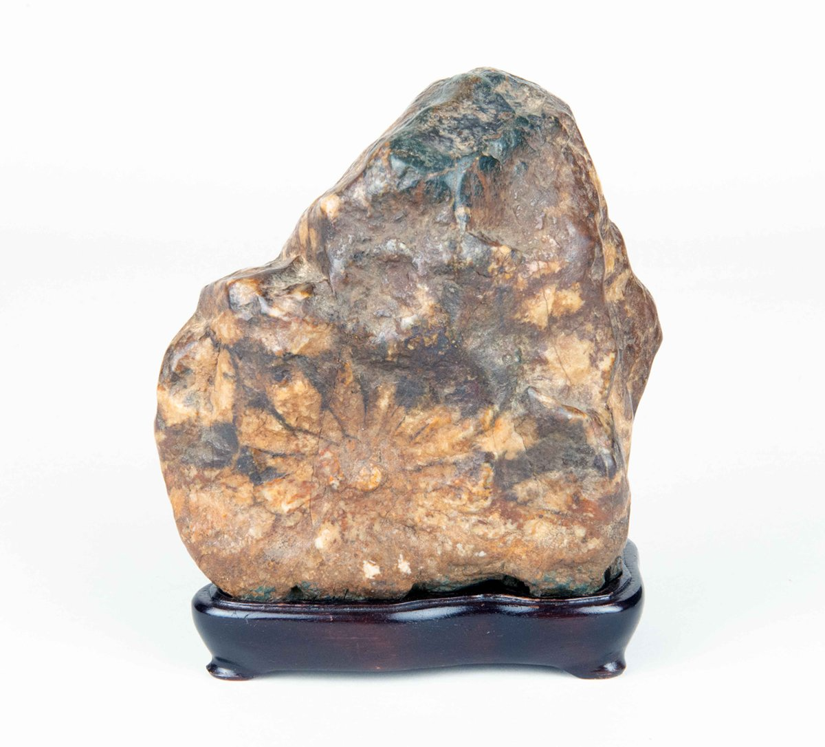 VSANA FEATURED ARTICLE