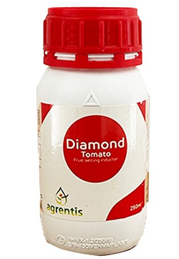 Diamond Tomato | Spica Agriculture