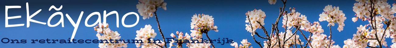 Ivar Mol in Breda, Wolfheze en op Ekãyano