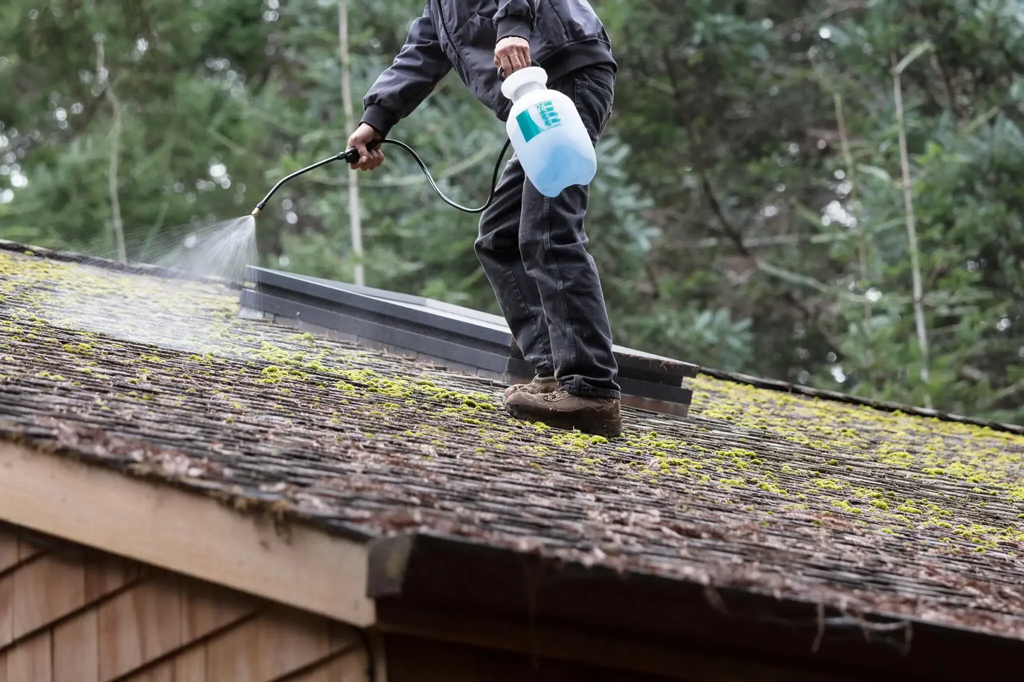 Shingle Roof Repair Services