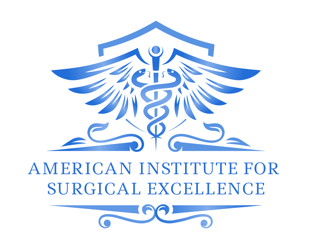 Home [americaninstituteforsurgicalexcellence.com]