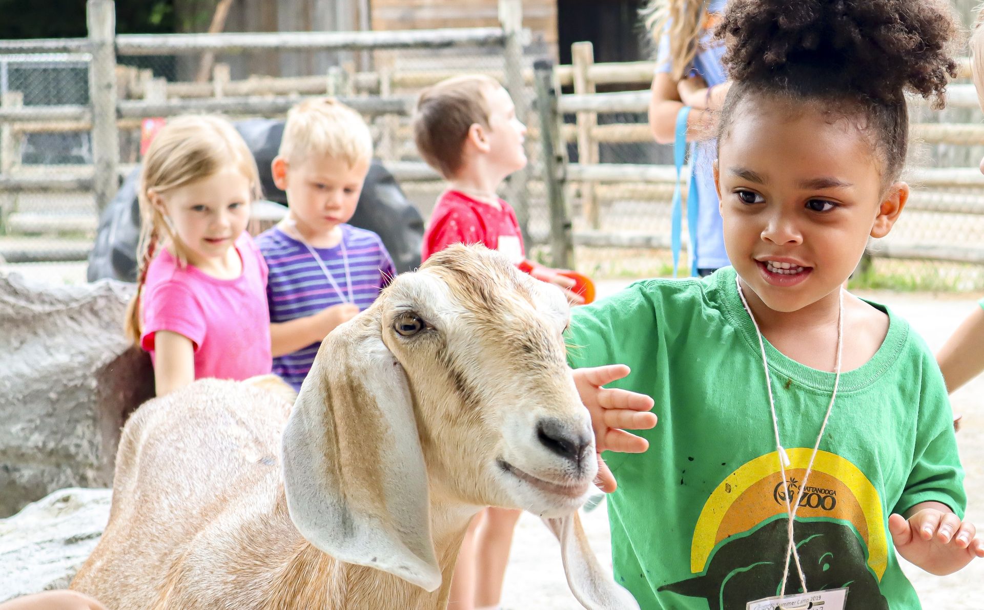 Zoo Camp | Chattanooga Zoo Summer Camp