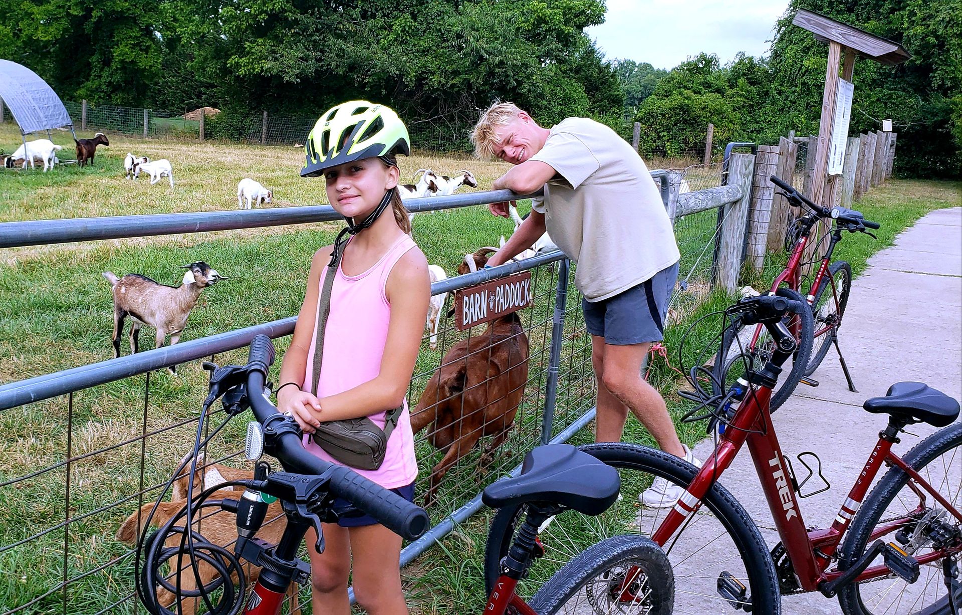 SAS Summer Camp | Summer Camps in Chattanooga, TN