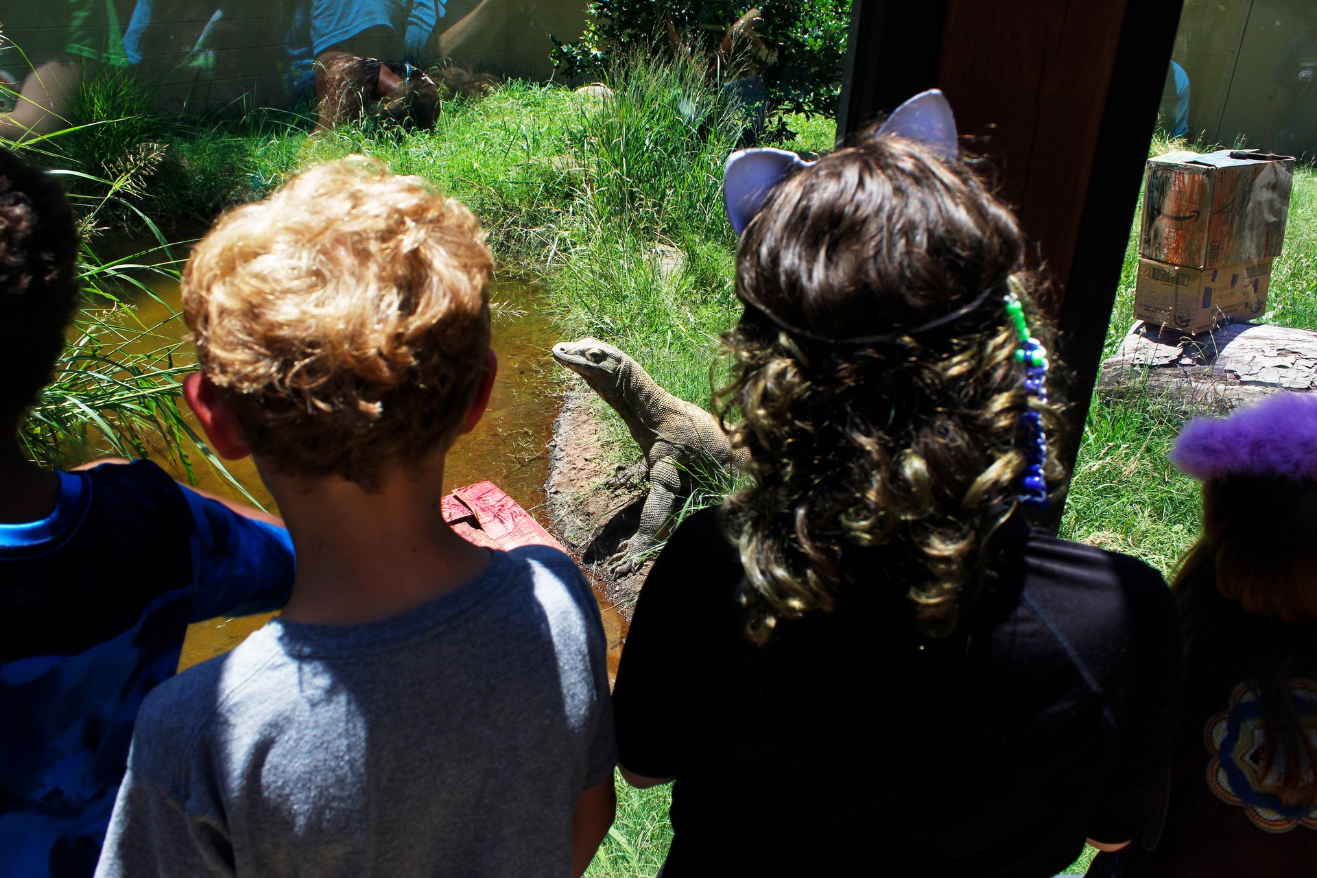 Chattanooga Zoo Camp