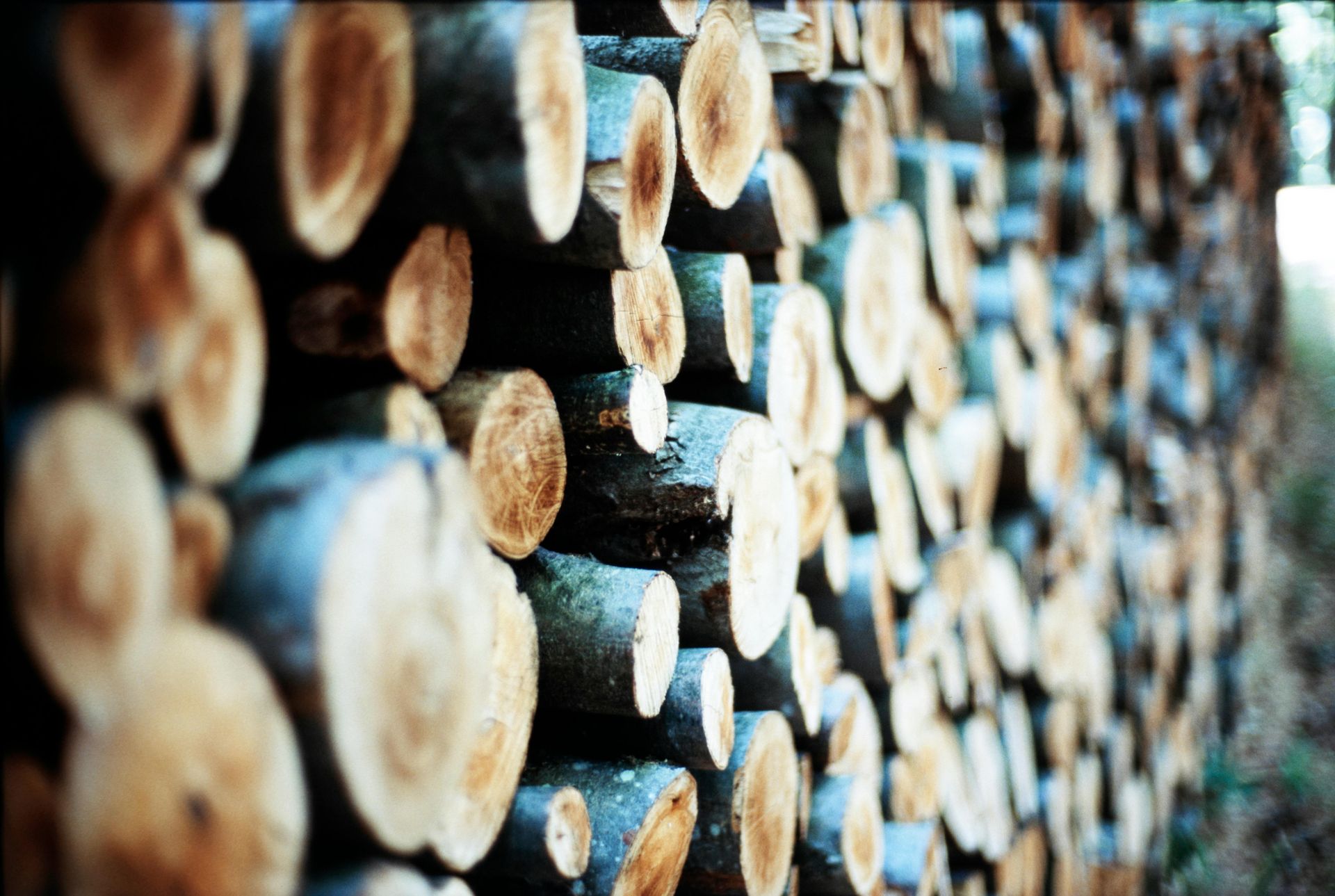 Available Logs for Sale | Grade Timber | Beardstown, Jacksonville ...