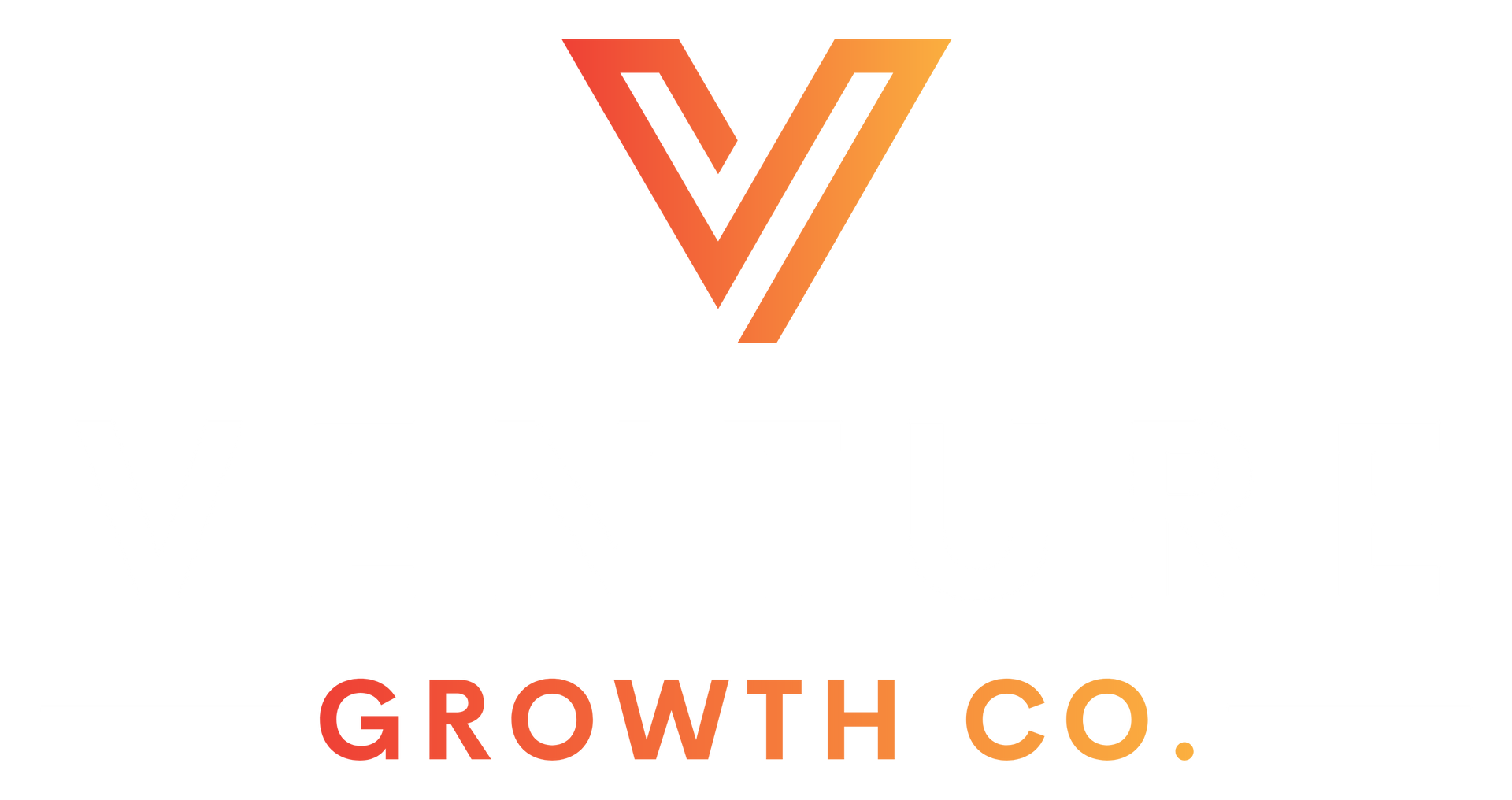 Venture Growth Co. - Business Growth Consulting Firm
