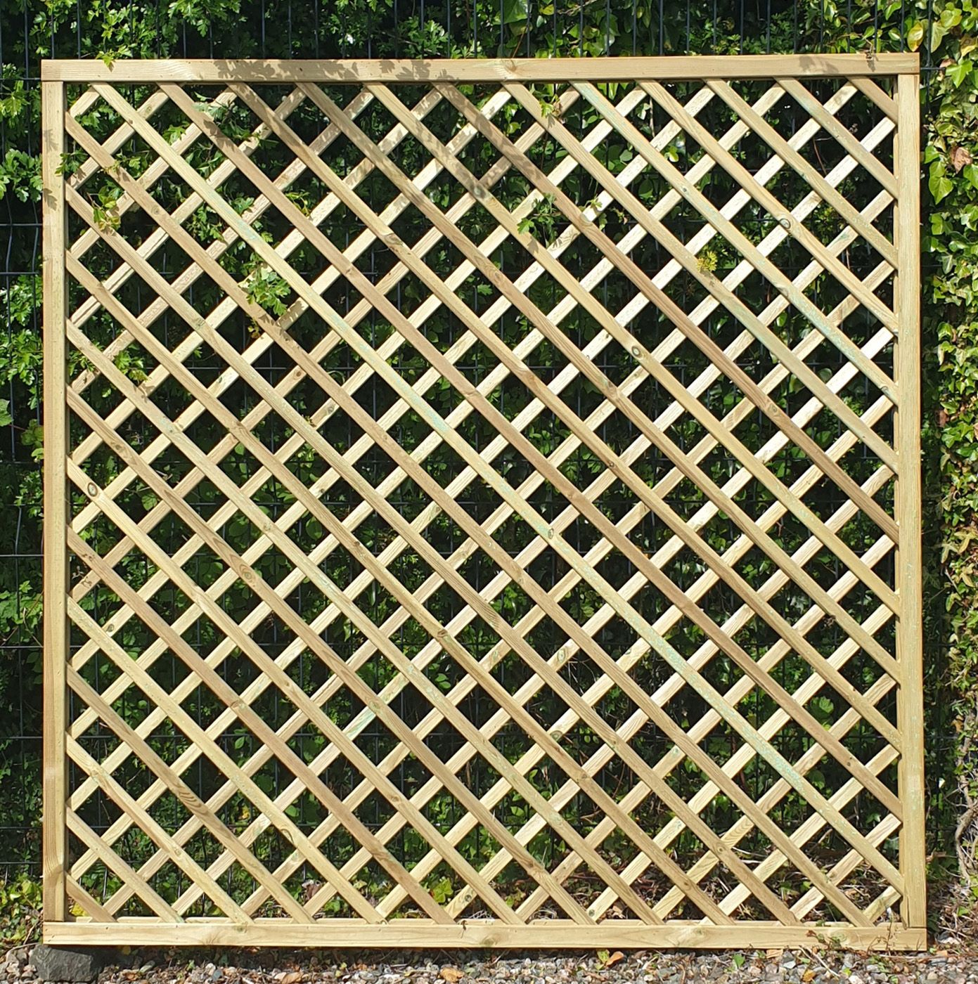 Trellis | A Diamond & Son (Timber) Ltd