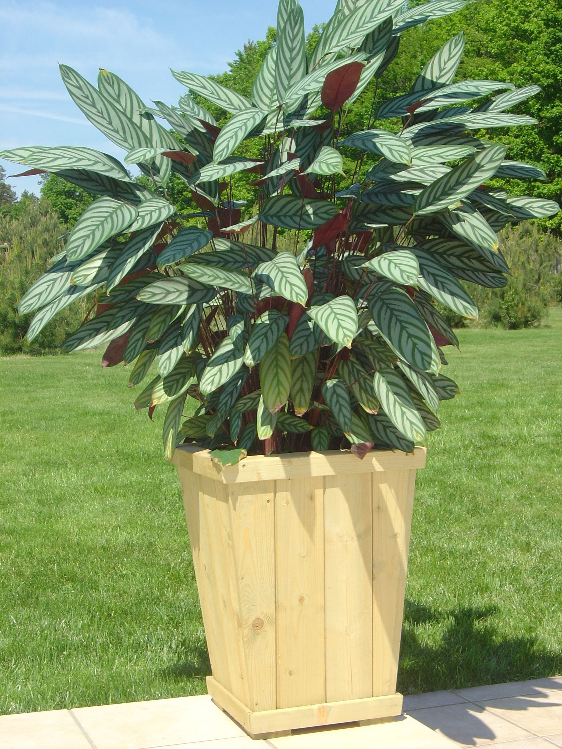 Garden structures | A Diamond & Son (Timber) Ltd